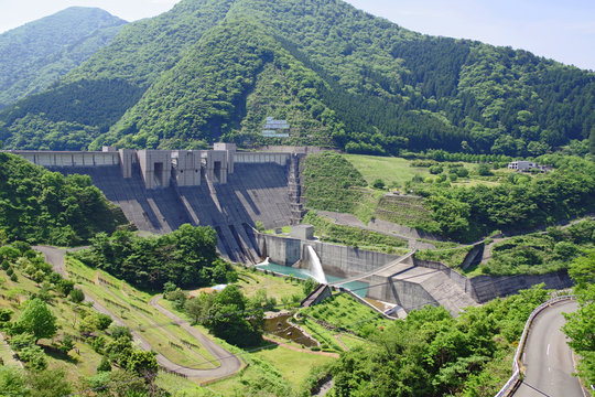 唯一 Images – Browse 503 Stock Photos, Vectors, and Video | Adobe Stock