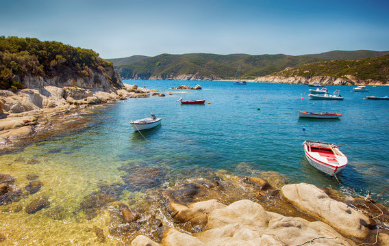 รูปภาพKalamitsi – เลือกดูภาพถ่ายสต็อก เวกเตอร์ และวิดีโอ598 | Adobe Stock