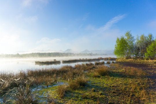 รูปภาพSterntaler – เลือกดูภาพถ่ายสต็อก เวกเตอร์ และวิดีโอ258 | Adobe Stock