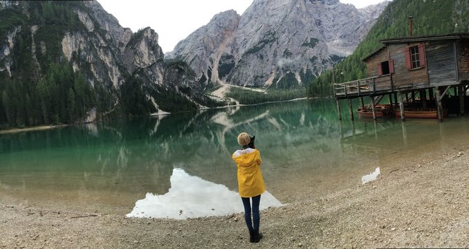 Gory Images – Browse 172,511 Stock Photos, Vectors, and Video | Adobe Stock