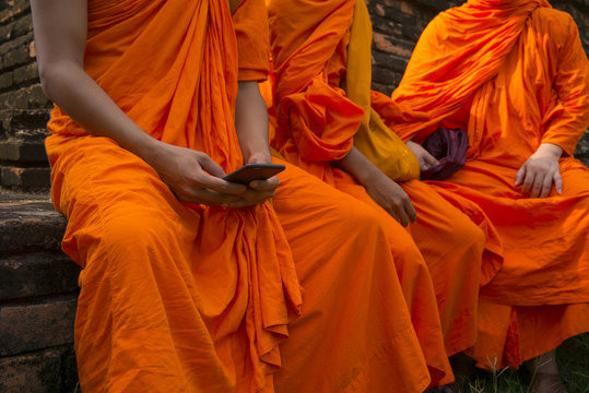 Monkhood bilder – Bläddra bland 178,717 stockfoton, vektorer och videor ...