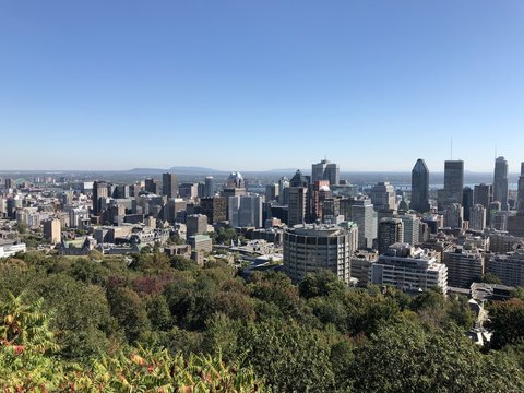 Udem Images – Browse 42 Stock Photos, Vectors, and Video | Adobe Stock