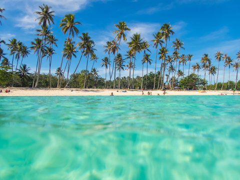 Temae Images – Browse 160 Stock Photos, Vectors, and Video | Adobe Stock