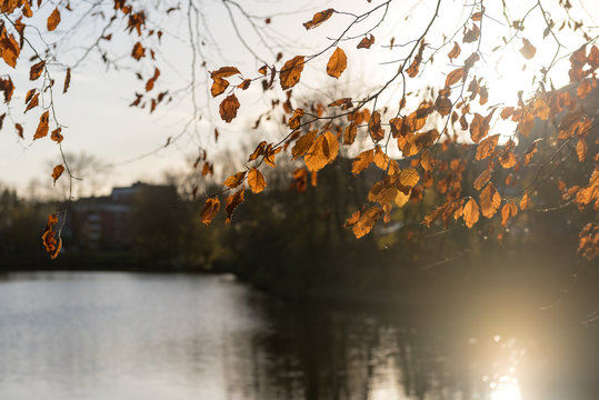 Erbschaft bilder – Bläddra bland 4,387 stockfoton, vektorer och videor ...