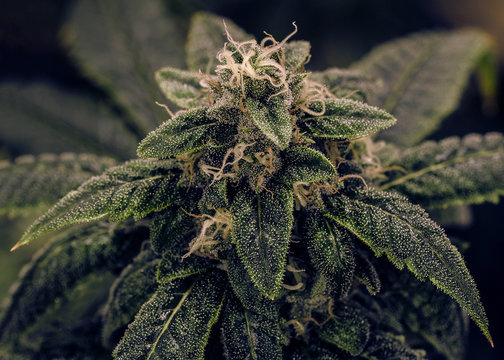 รูปภาพMmmp – เลือกดูภาพถ่ายสต็อก เวกเตอร์ และวิดีโอ69 | Adobe Stock