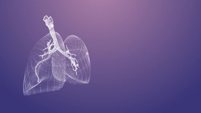 Pneumology Images – Browse 8,905 Stock Photos, Vectors, and Video ...