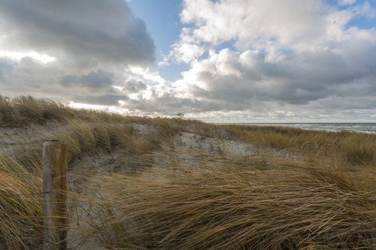 Drath Images – Browse 37 Stock Photos, Vectors, and Video | Adobe Stock