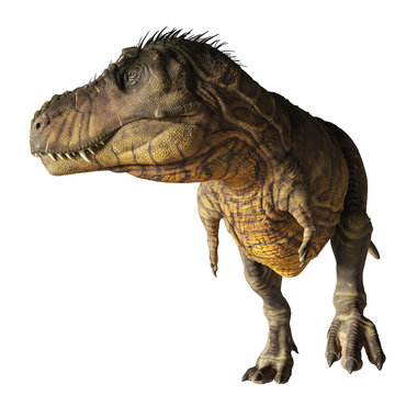 รูปภาพT-Rex – เลือกดูภาพถ่ายสต็อก เวกเตอร์ และวิดีโอ77,743 | Adobe Stock