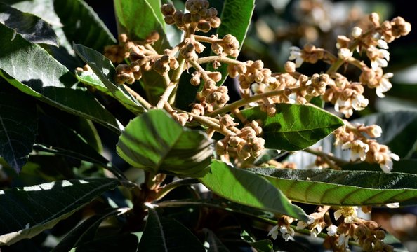 Bibasse Images – Browse 29 Stock Photos, Vectors, and Video | Adobe Stock