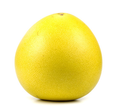 รูปภาพPomela – เลือกดูภาพถ่ายสต็อก เวกเตอร์ และวิดีโอ550 | Adobe Stock