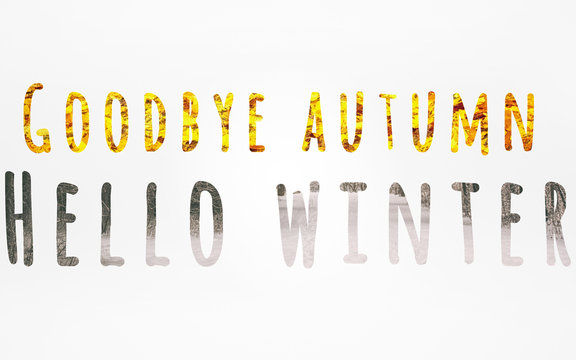 Goodbye Fall Hello Winter