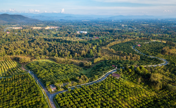 Dodi Images – Browse 52 Stock Photos, Vectors, and Video | Adobe Stock