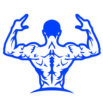 Front Double Bicep Drawing