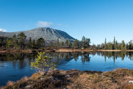 Telemark bilder – Bläddra bland 4,747 stockfoton, vektorer och videor ...