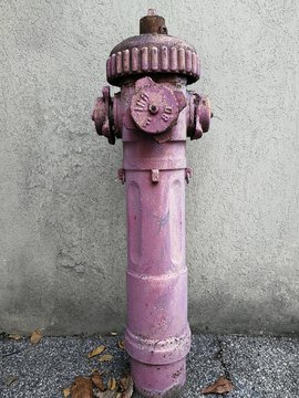 Idrante Bilder – Durchsuchen 379 Archivfotos, Vektorgrafiken und Videos ...