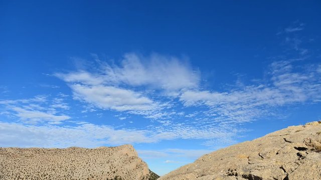 Imágenes de Insana: descubre bancos de fotos, ilustraciones, vectores y ...