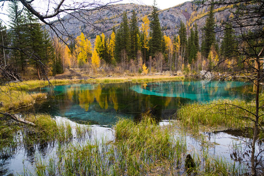 รูปภาพTajga – เลือกดูภาพถ่ายสต็อก เวกเตอร์ และวิดีโอ964 | Adobe Stock