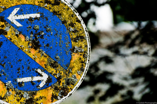 Schield Bilder – Durchsuchen 62 Archivfotos, Vektorgrafiken und Videos ...