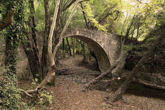 Rudias Images – Browse 1 Stock Photos, Vectors, and Video | Adobe Stock