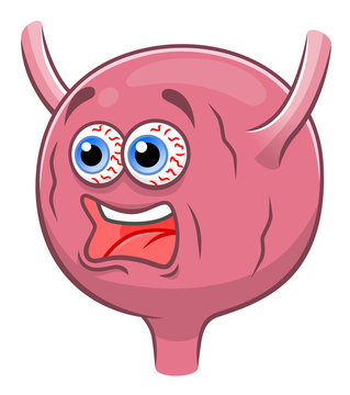 Animated Bladder