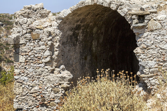 รูปภาพCitera – เลือกดูภาพถ่ายสต็อก เวกเตอร์ และวิดีโอ95 | Adobe Stock