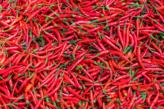 Chillies Images – Browse 3,635,426 Stock Photos, Vectors, and Video ...