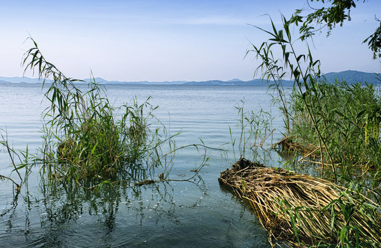 "Tai Lake" Images – Browse 1,626 Stock Photos, Vectors, and Video ...