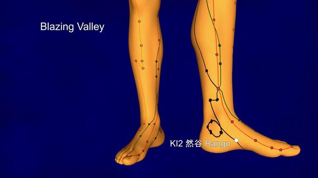 Kidney Meridian Images – Browse 40 Stock Photos, Vectors,, 48% OFF