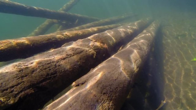 "Sunken Logs" Bilder – Durchsuchen 70 Archivfotos, Vektorgrafiken und ...