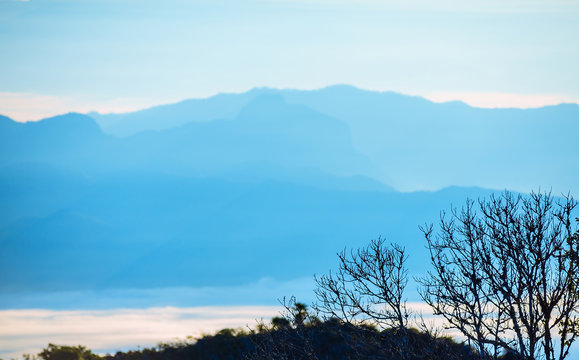 Imágenes de Surro: descubre bancos de fotos, ilustraciones, vectores y ...