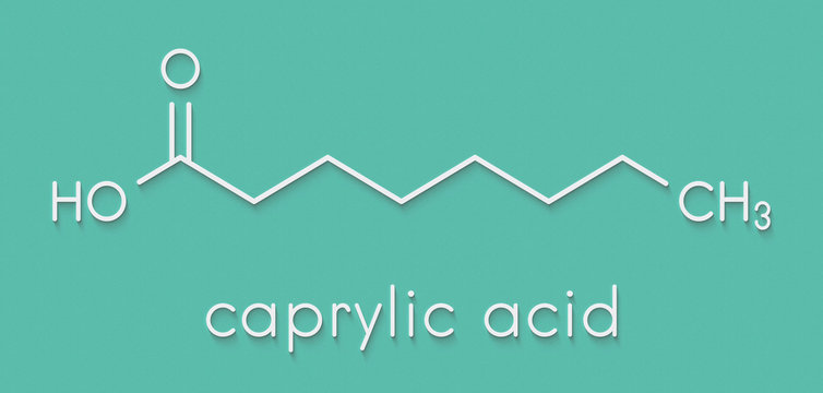 Caprylic Acid Structure