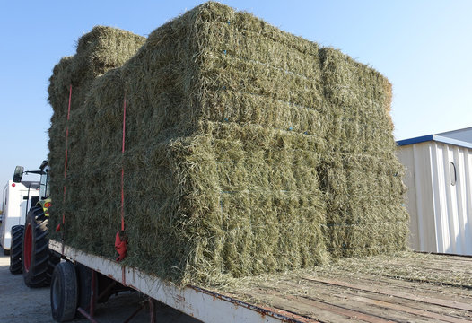 รูปภาพFoin – เลือกดูภาพถ่ายสต็อก เวกเตอร์ และวิดีโอ8,222 | Adobe Stock