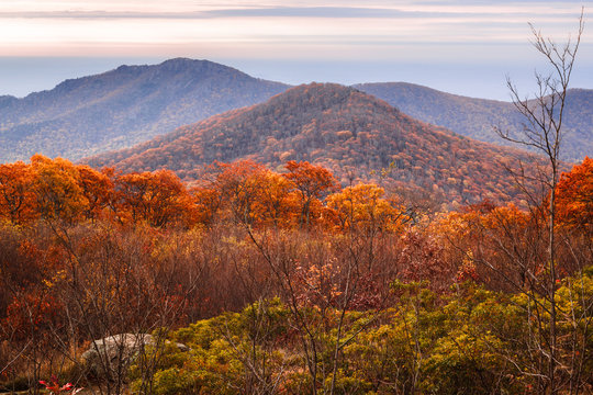 "Old Rag" Images – Browse 231 Stock Photos, Vectors, and Video | Adobe ...