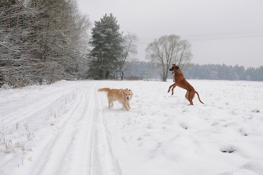 รูปภาพTobben – เลือกดูภาพถ่ายสต็อก เวกเตอร์ และวิดีโอ115 | Adobe Stock
