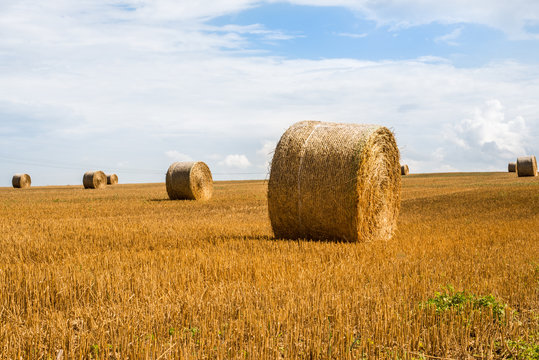 Bernhard photos, images, assets | Adobe Stock