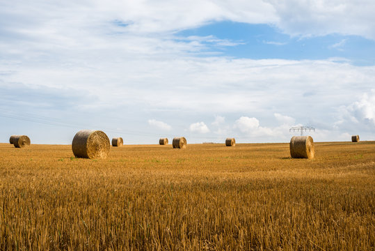 Bernhard photos, images, assets | Adobe Stock