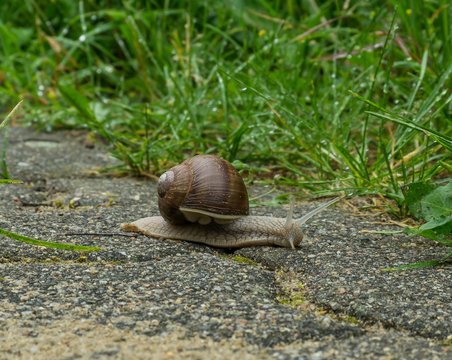 Bernhard photos, images, assets | Adobe Stock