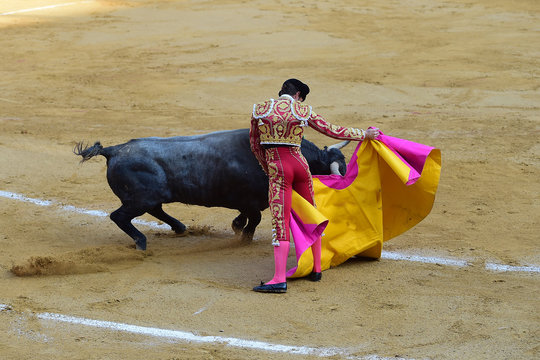 Matador Images – Browse 19,276 Stock Photos, Vectors, and Video | Adobe ...