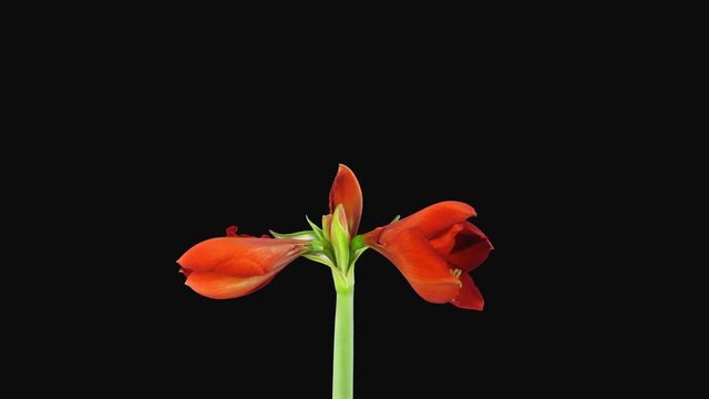 3X6 Images – Browse 39 Stock Photos, Vectors, and Video | Adobe Stock