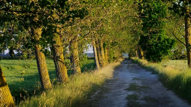 Pappelallee Images – Browse 213 Stock Photos, Vectors, and Video ...