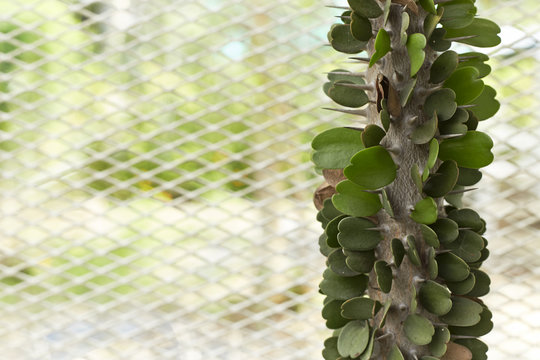 Hildm-Bilder: Stock-Fotos & -Videos. | Adobe Stock