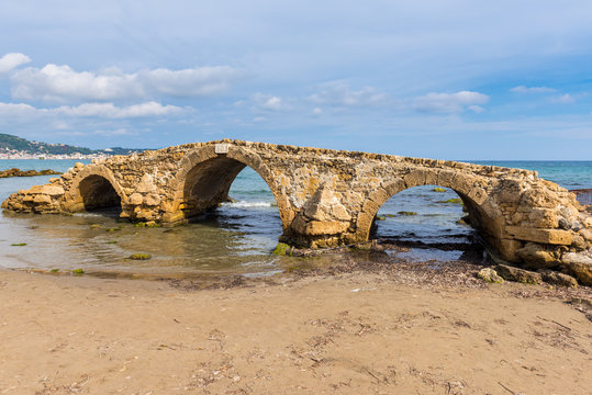 Argassi Imagens – Procure 120 fotos, vetores e vídeos | Adobe Stock