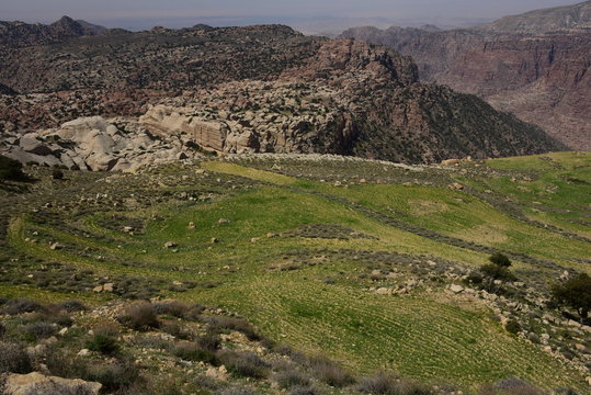 รูปภาพKeimend – เลือกดูภาพถ่ายสต็อก เวกเตอร์ และวิดีโอ138 | Adobe Stock