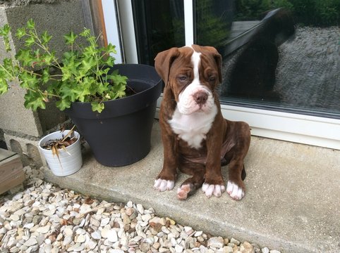 Nadial photos, images, assets | Adobe Stock