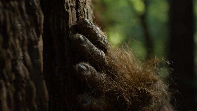 Bigfoot Images – Browse 64,779 Stock Photos, Vectors, and Video | Adobe ...