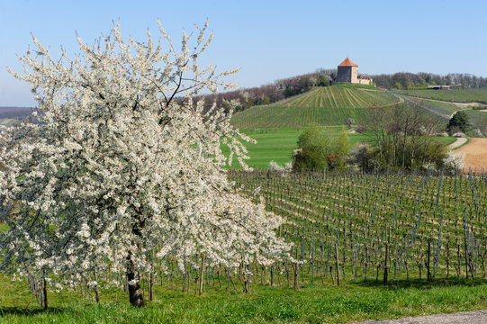 Imágenes de Abstatt: descubre bancos de fotos, ilustraciones, vectores ...