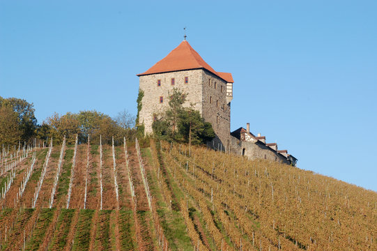 Abstatt Images – Browse 54 Stock Photos, Vectors, and Video | Adobe Stock