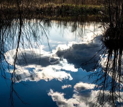 Bernhard photos, images, assets | Adobe Stock