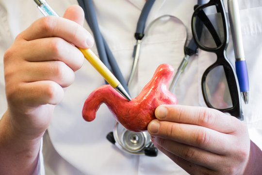 รูปภาพGastroenterologist – เลือกดูภาพถ่ายสต็อก เวกเตอร์ และวิดีโอ13,133 ...