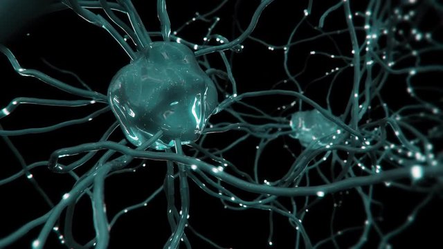Nerve Synapse Animation